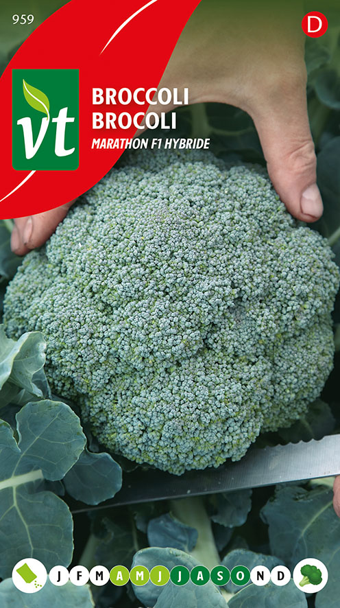 BROCCOLI MARATHON F1 HYBRIDE | Erica Garden